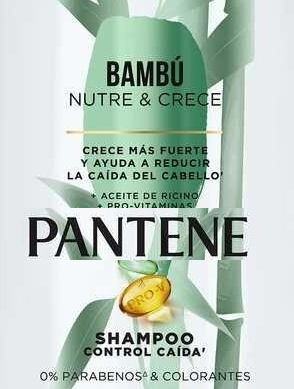 SHAMPOO CAPILAR PANTENE BAMBOO :: BYA Chabas